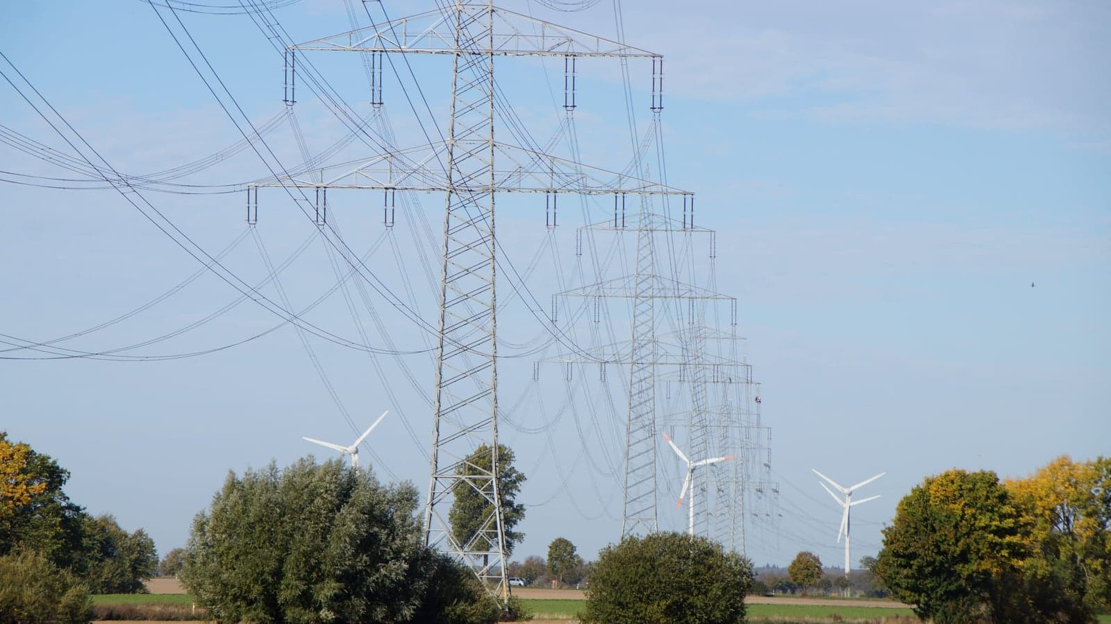 TenneT sells 25.1% stake to German government | Enlit World