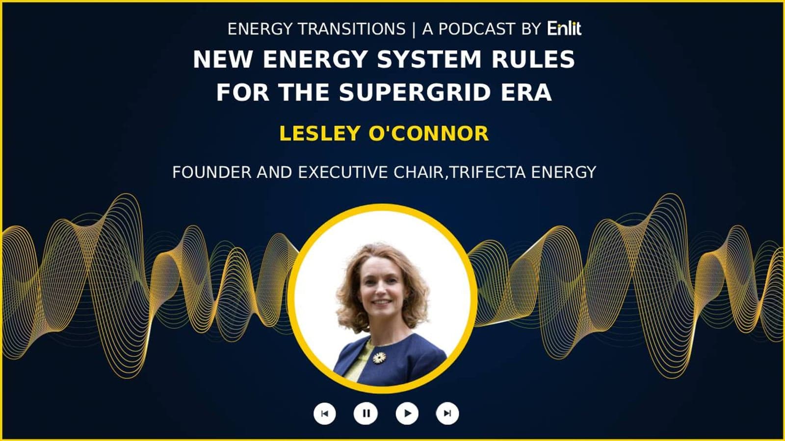 Europe’s TSO Innovation Alliance calls for climate-resilient power grid ...